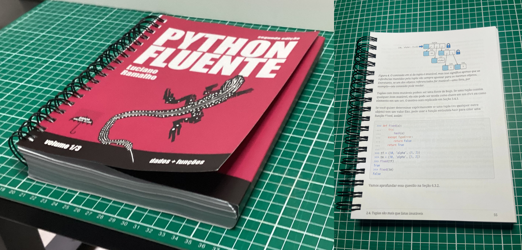 Python Fluente 2e: volume 1, tiragem 1 | Blog do Ramalho.org